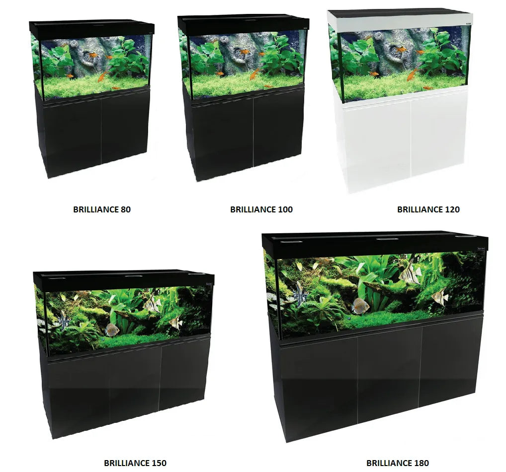 Aqua One Brilliance 120 Aquarium 292L Black | Aquarium and Reptiles