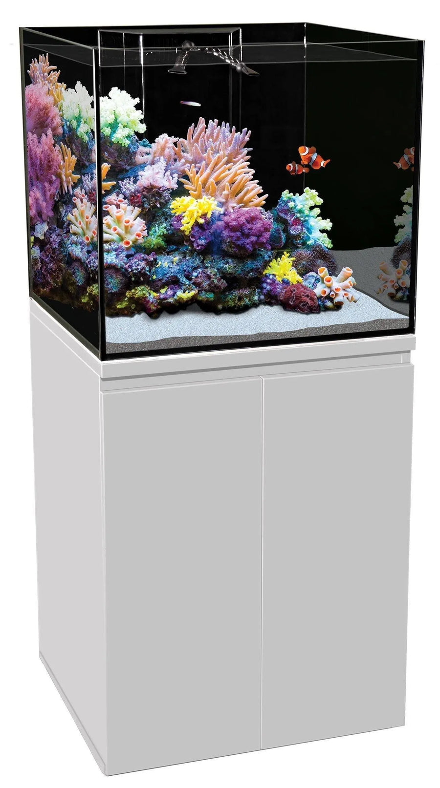Shop AQUARIUM - AQUARIUMS/FISH TANKS - MARINE TANKS at Amazing Amazon