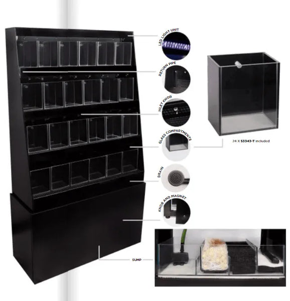 Betta Tank Fighter Fish Display Tank 20 Tanks | Aquarium and Reptiles