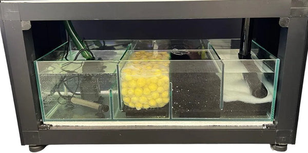 Betta Tank Fighter Fish Display Tank 20 Tanks | Aquarium and Reptiles