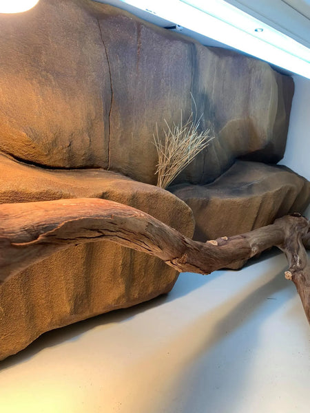 Custom 3D Reptile Rock Backgrounds | Aquarium and Reptiles