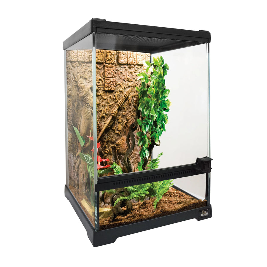 Shop INVERTEBRATES - ENCLOSURES/TANKS - STICK INSECTS at Amazing Amazon