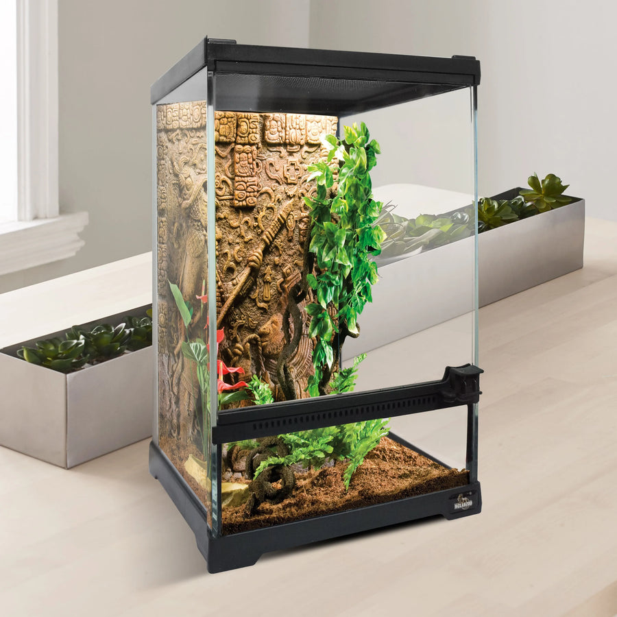 Shop INVERTEBRATES - ENCLOSURES/TANKS - STICK INSECTS at Amazing Amazon