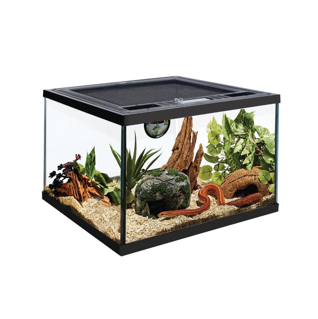 Deluxe Reptile Terrarium 30cm x 30cm x 20cm | Aquarium and Reptiles