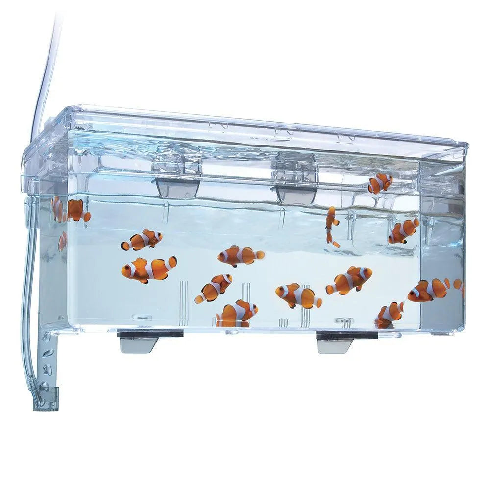 Fluval Multi Chamber Fish Breeding Box | Aquarium and Reptiles