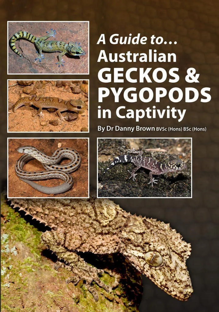 Guide To Australian Geckos In Captivity Book | Aquarium and Reptiles