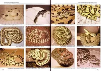 Keeping and Breeding Australian Pythons Book | Aquarium and Reptiles