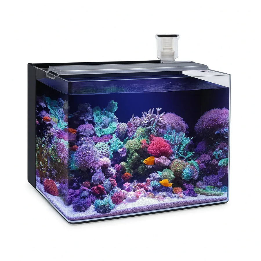 Shop Marine Tanks | Saltwater & Reef Aquariums at Amazing Amazon