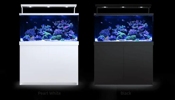 Red Sea Max S Series LED 500 Aquarium Black | Aquarium and Reptiles