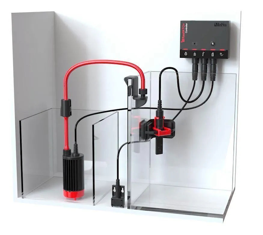 Red Sea ReefATO+ Reefer Kit | Aquarium and Reptiles | Amazing Amazon