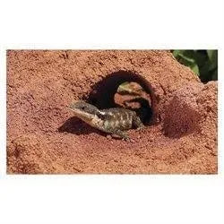 Zoo Med Excavator Clay Burrowing Substrate | Aquarium and Reptiles